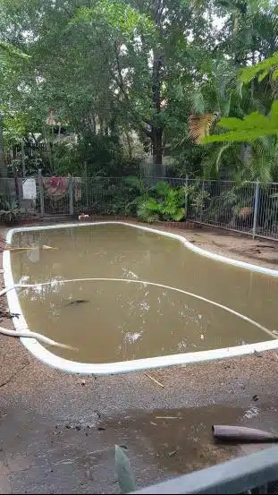 How to Clean a Brown Pool | Jim’s Pool Care