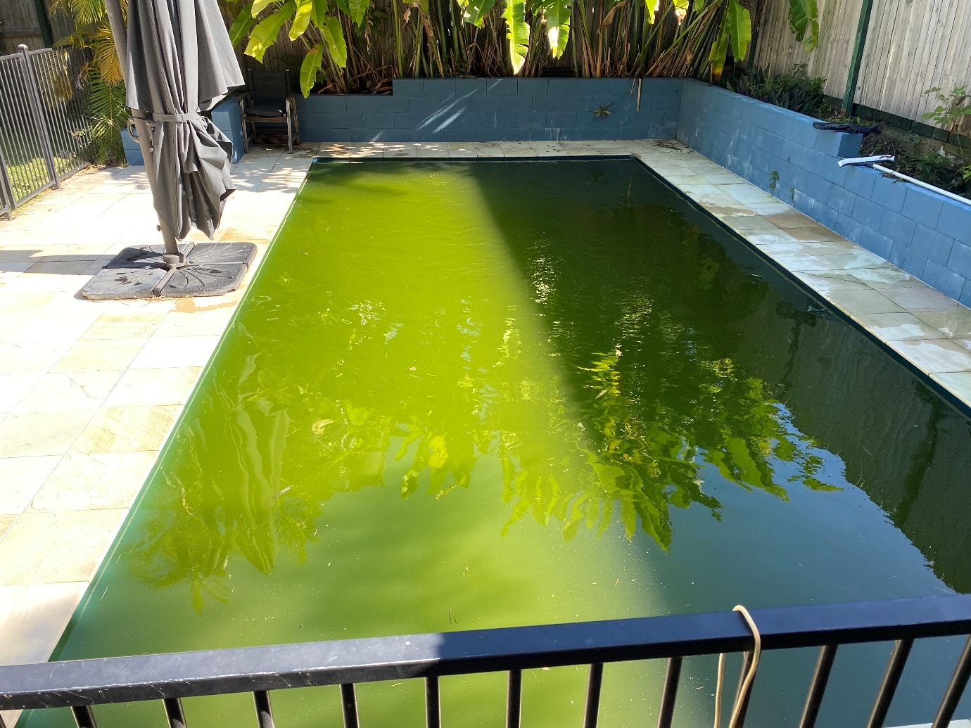 DIY Green Pool Recovery: Tips and Tricks for Clear and Healthy Water ...
